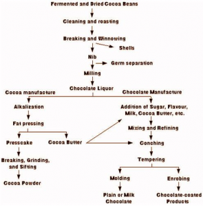 Chocolate Production Process - Food Science Universe (FSU)