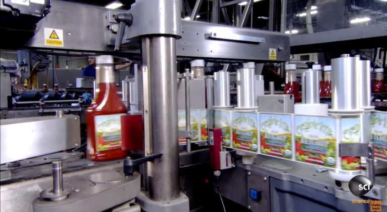 Industrial Tomato Ketchup Production in Industry - Food Science ...