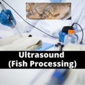Ultrasound-Future of Fish Processing - Food Science Universe (FSU ...